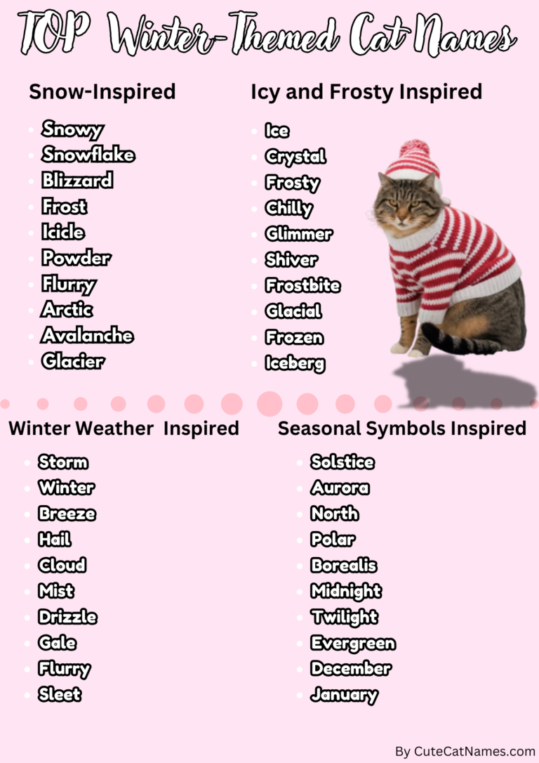 150+ Winter-Themed Cat Names To Bring Cool Charm To Your Feline ...